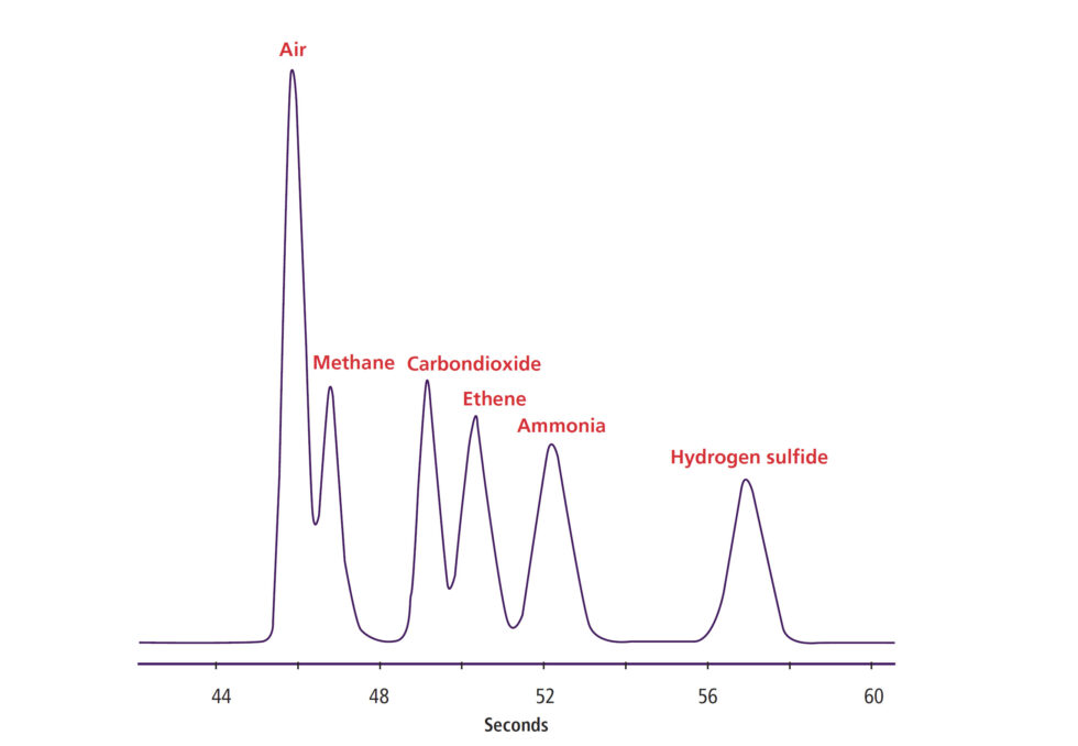 Ammonia analyser - Gassite